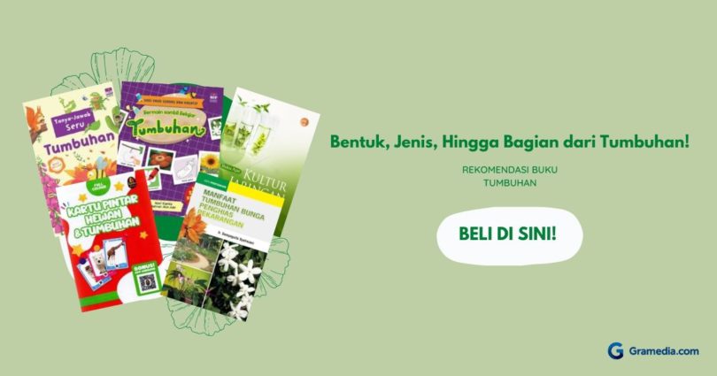 Tumbuhan Ganggang: Pengertian, Ciri, Klasifikasi dan Manfaat – Gramedia ...