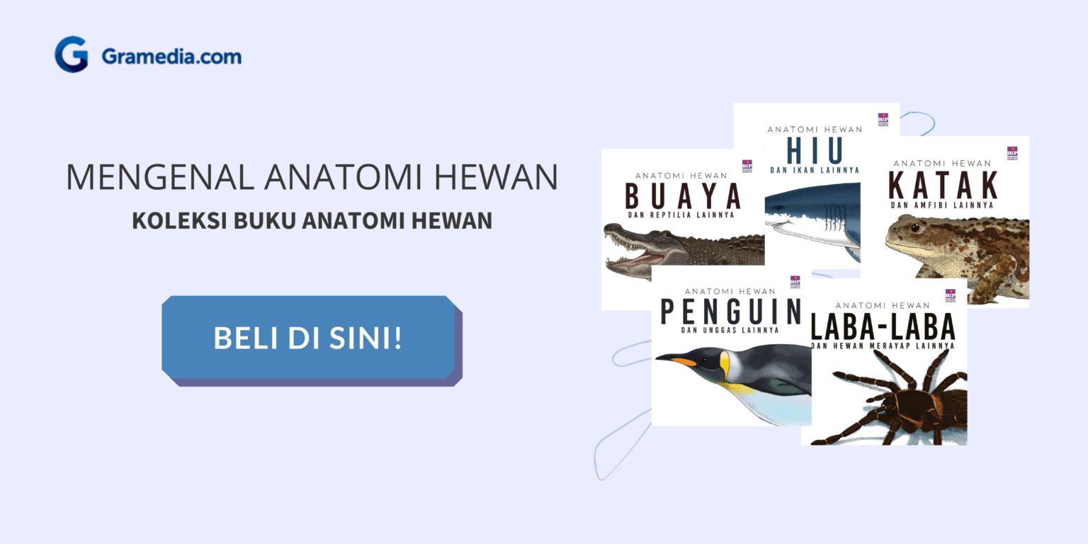 Contoh Hewan Vertebrata: Pengertian, Ciri-ciri, Klasifikasi – Gramedia ...