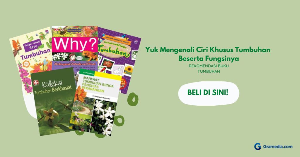 Tumbuhan Thallophyta : Pengertian, Ciri, Klasifikasi dan Contoh ...