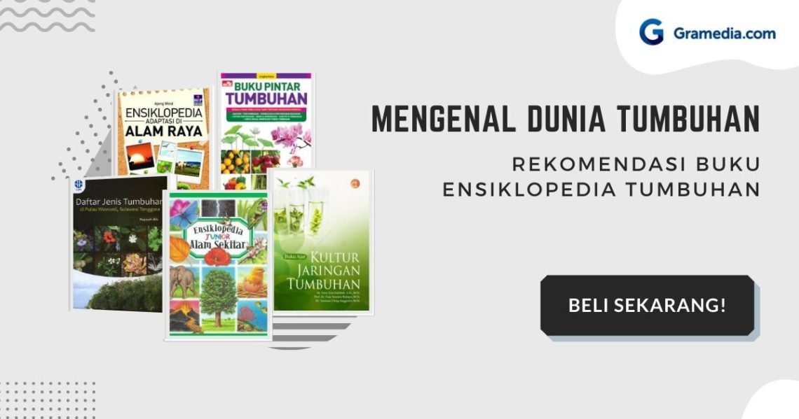 Tumbuhan Paku (Pterydophyta): Pengertian, Ciri, Metagenesis, Reproduksi ...