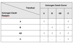 Sistem Peredaran Darah Kecil, Sel Darah & Plasma Darah – Gramedia Literasi