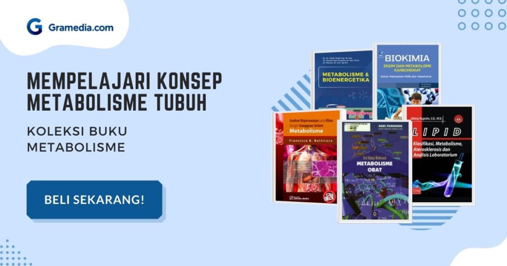 Mengenal Proses Metabolisme Pada Tubuh Manusia – Gramedia Literasi