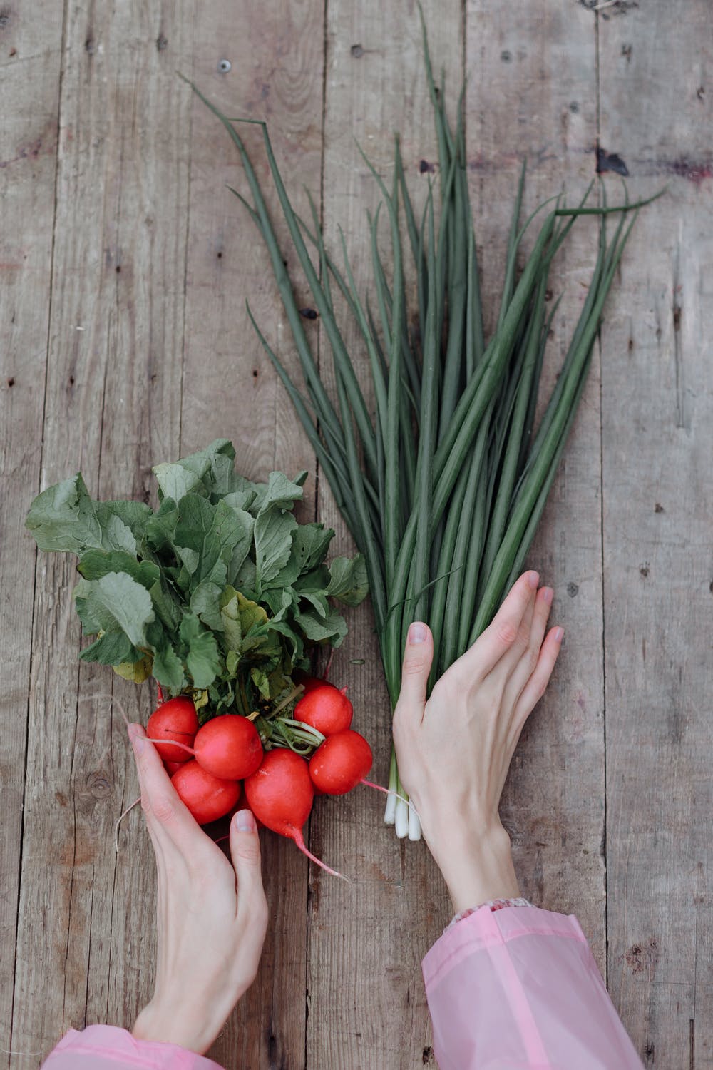 8 Prospek Kerja Jurusan Agribisnis yang Kian Menjanjikan di Indonesia ...