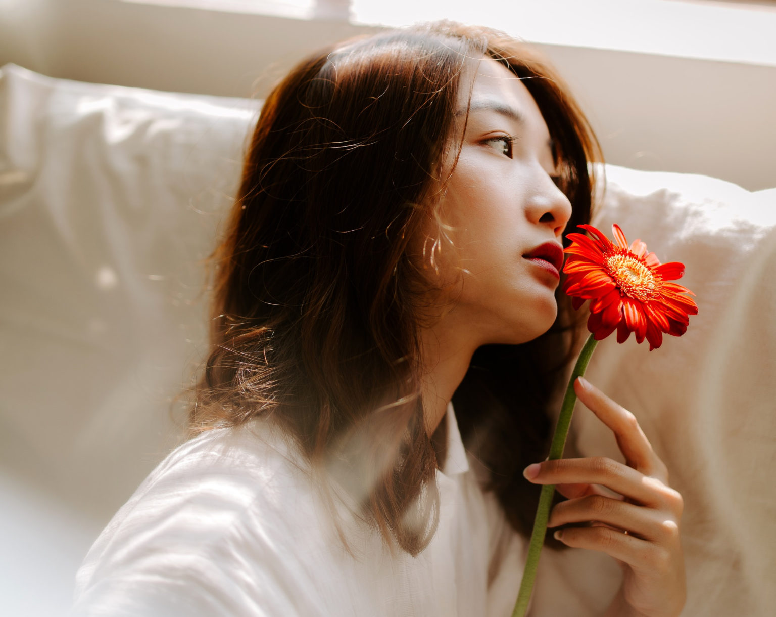 Pengertian Introvert: Ciri-Ciri, dan Cara Berinteraksi Dengannya ...