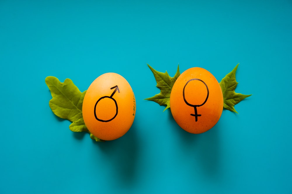 Apa itu Gender? dan Kesetaraan Gender? – Gramedia Literasi
