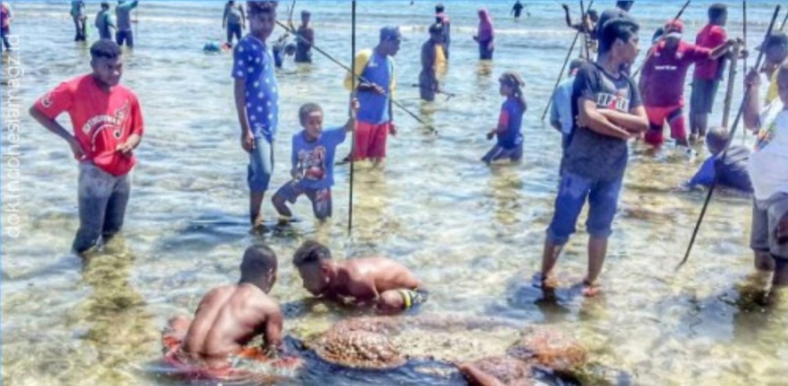 10 Ragam Upacara Adat Papua dan Filosofi Di Baliknya! – Gramedia Literasi