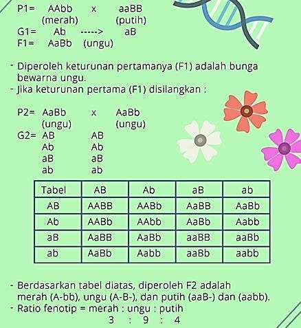 Hukum Mendel ~ Ruang Belajar Digital