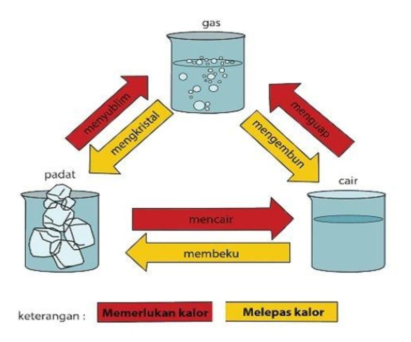 Pengertian Mengembun, Jenis, Hingga Proses Terjadinya – Gramedia Literasi