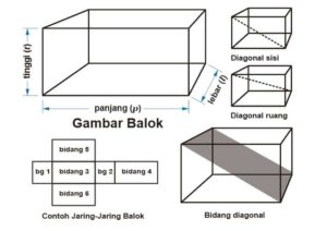 Macam Jaring-Jaring Balok: Rumus dan Contoh Soalnya – Gramedia Literasi