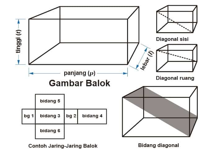 Macam Jaring-Jaring Balok: Rumus dan Contoh Soalnya – Gramedia Literasi