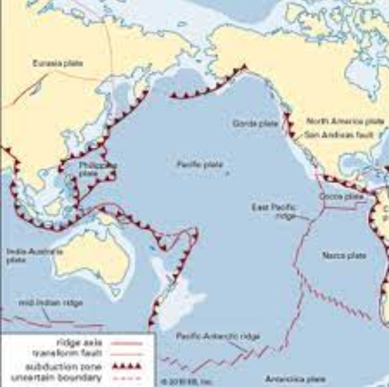 Lempeng Pasifik: Pengertian Hingga Perbatasan Lempeng Pasifik ...