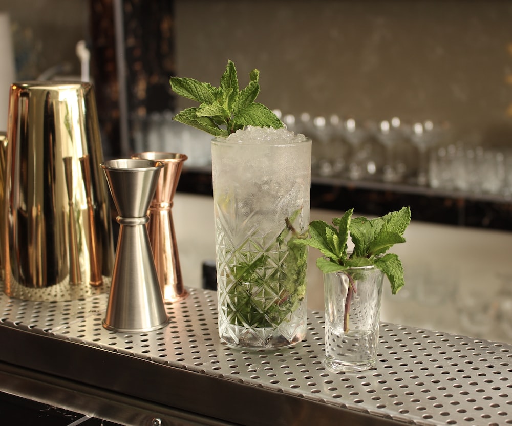 15 Fakta Menarik Mojito Beserta Resep Mudah Cara Membuat-Nya!