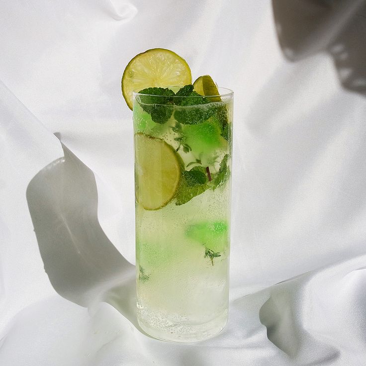 15 Fakta Menarik Mojito Beserta Resep Mudah Cara Membuat-Nya ...