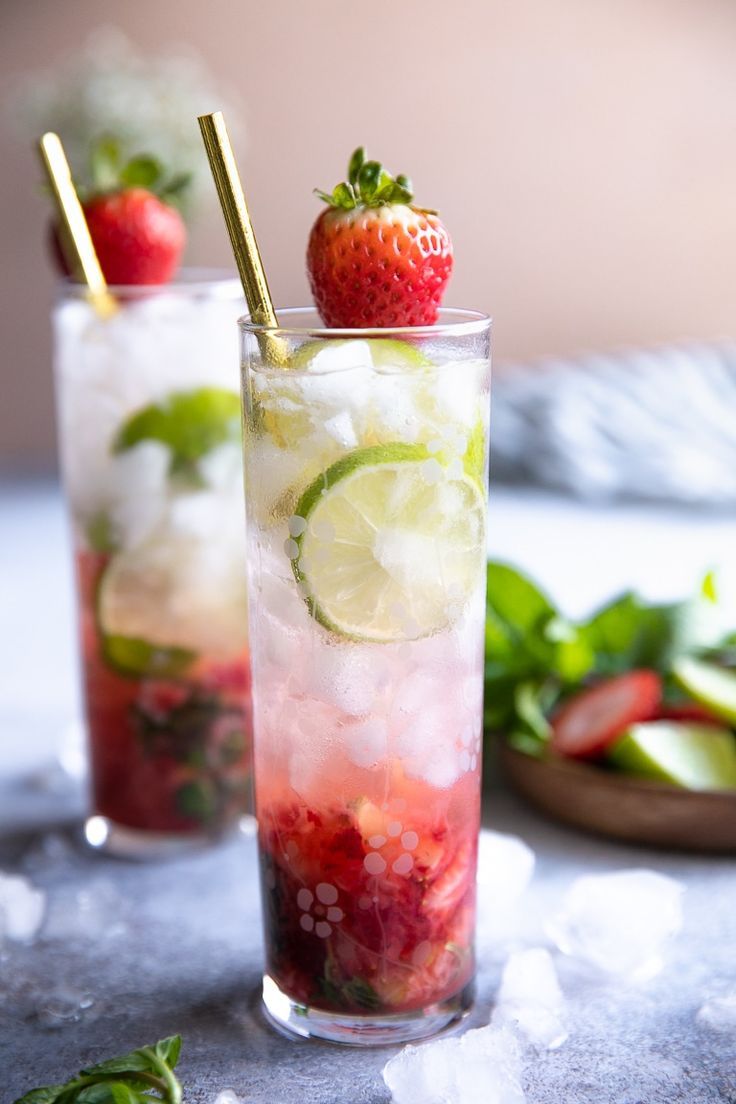 15 Fakta Menarik Mojito Beserta Resep Mudah Cara Membuat-Nya ...
