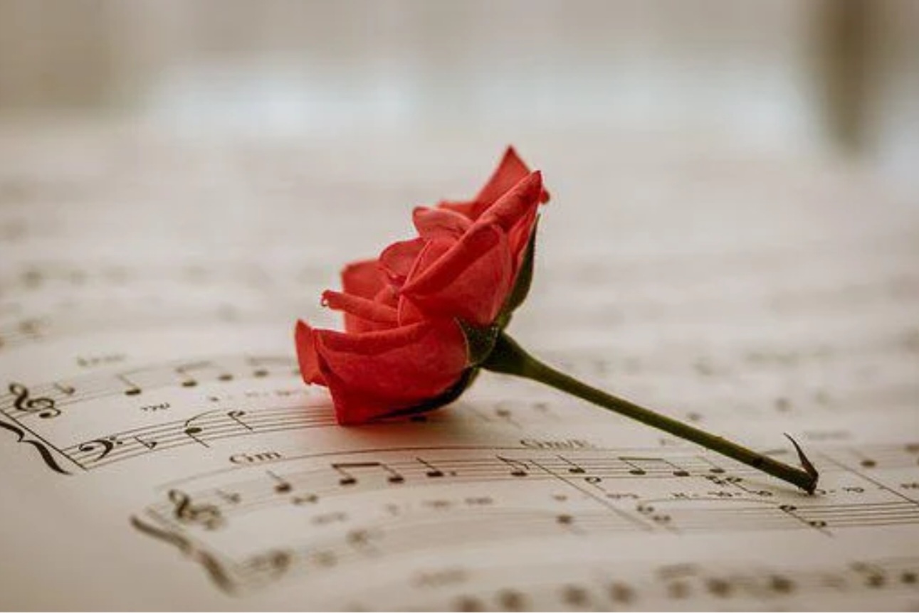 Ilmu Harmoni: Pengertian, Teori, Jenis, dan Unsurnya – Gramedia Literasi