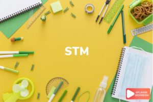 Pengertian STM Hingga Perbedaannya dengan SMK dan SMA – Gramedia Literasi