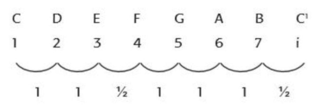 Tangga Nada Mayor: Pengertian, Ciri-Ciri, Rumus, Hingga Contoh Lagunya ...