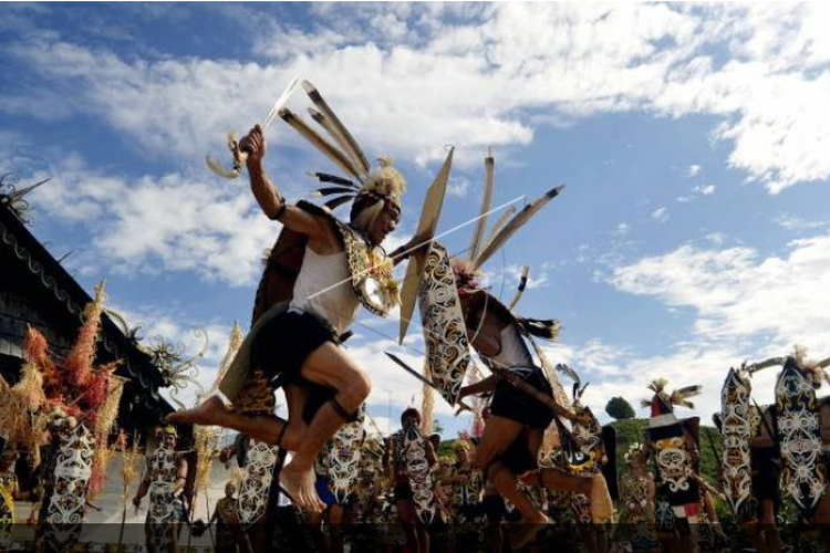 Tari Dayak: Contoh, Properti, Gerakan, dan Pola Lantainya – Gramedia ...