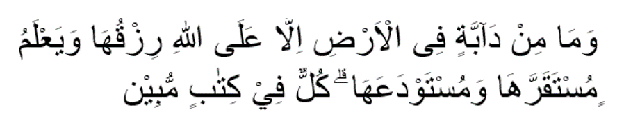 13 Ayat Al-Qur’an Tentang Rizki dan Pemahaman Mendalam-Nya! – Gramedia ...