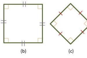 Simetri Lipat pada Bangun Datar dan Cara Menemukannya – Gramedia Literasi