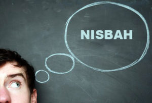 Pengertian Nisbah: Karakteristik, Jenis, Faktor, dan Cara Menghitungnya ...