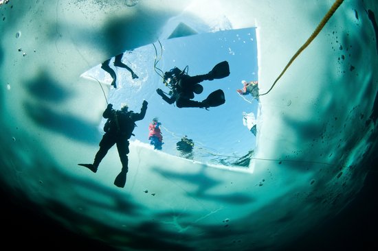 Diving Adalah: Definisi, Teknik Dasar, Jenis, Peralatan, dan ...