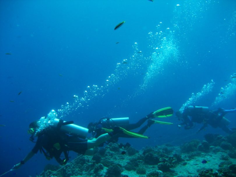 Diving Adalah: Definisi, Teknik Dasar, Jenis, Peralatan, dan ...