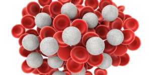 Neutrofil Adalah: Definisi, Fungsi, Jenis, dan Gangguan Fungsi ...