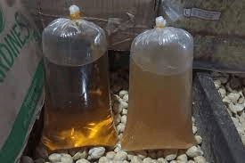 Minyak Curah Adalah: Pengertian dan Proses Pembuatannya – Gramedia Literasi