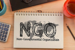 NGO Adalah: Definisi, Sejarah, Jenis, Peran, dan 5 Contohnya di ...