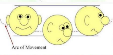 12 Prinsip Animasi dan Sejarah Perkembangan Animasi di Dunia – Gramedia ...