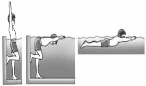 10 Macam Gaya Renang Beserta Teknik dan Sejarah Singkatnya – Gramedia ...