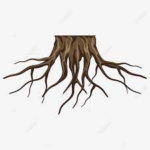 Memahami Pengertian, Jenis-Jenis, dan Fungsi Akar – Gramedia Literasi