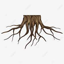 Memahami Pengertian, Jenis-Jenis, dan Fungsi Akar – Gramedia Literasi