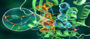 Pengertian Enzim: Struktur, Sifat, dan Faktor yang Mempengaruhinya ...