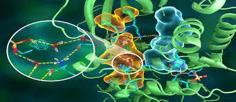 Pengertian Enzim: Struktur, Sifat, dan Faktor yang Mempengaruhinya ...