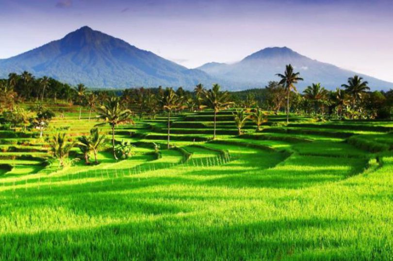 Pengertian Desa Menurut Para Ahli, Ciri-Ciri, Fungsi, dan Jenisnya – Gramedia Literasi