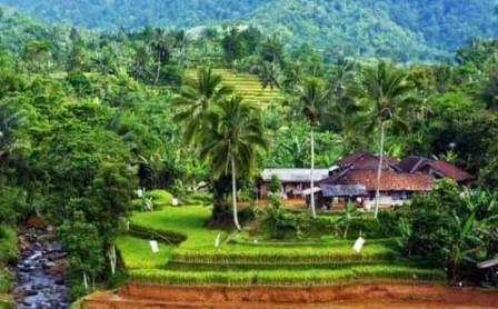 Pengertian Desa Menurut Para Ahli, Ciri-Ciri, Fungsi, dan Jenisnya ...