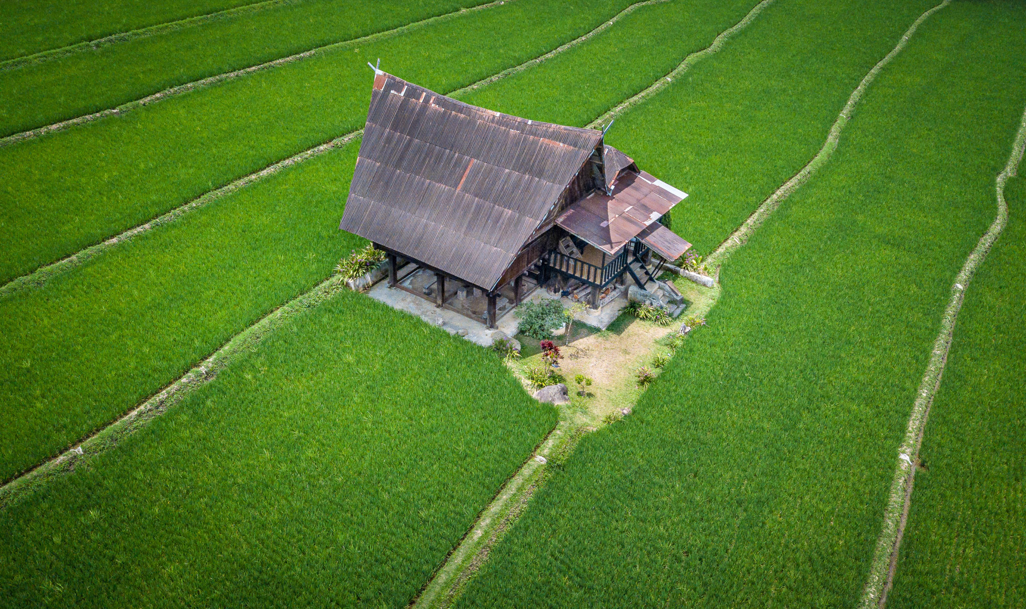 6 Rumah Adat Sumatra Selatan dan Ragam Filosofi di Baliknya – Gramedia ...