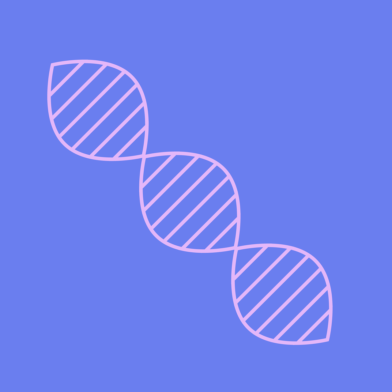 Sel Prokariotik: Struktur, Contoh, dan Perbedaan Sel Eukariotik ...