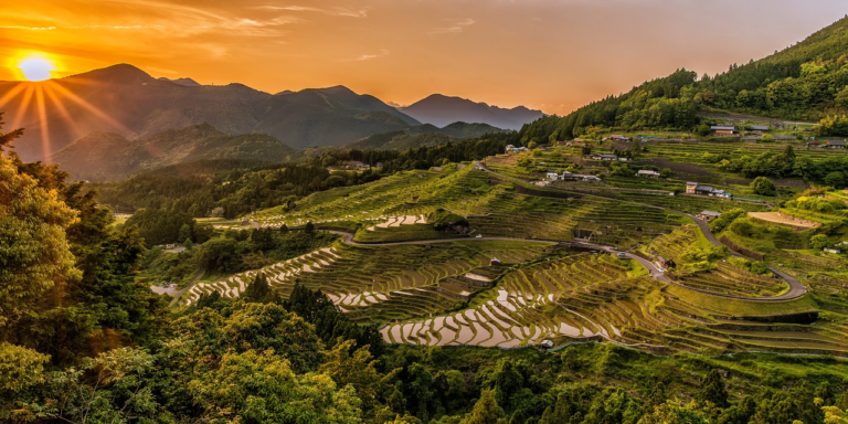 Agrikultur adalah: Pengertian, Sektor, Jenis, dan Contoh Produknya ...