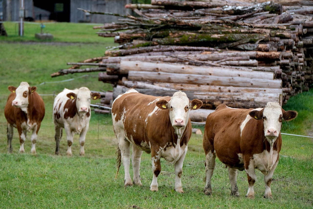 Agrikultur adalah: Pengertian, Sektor, Jenis, dan Contoh Produknya ...