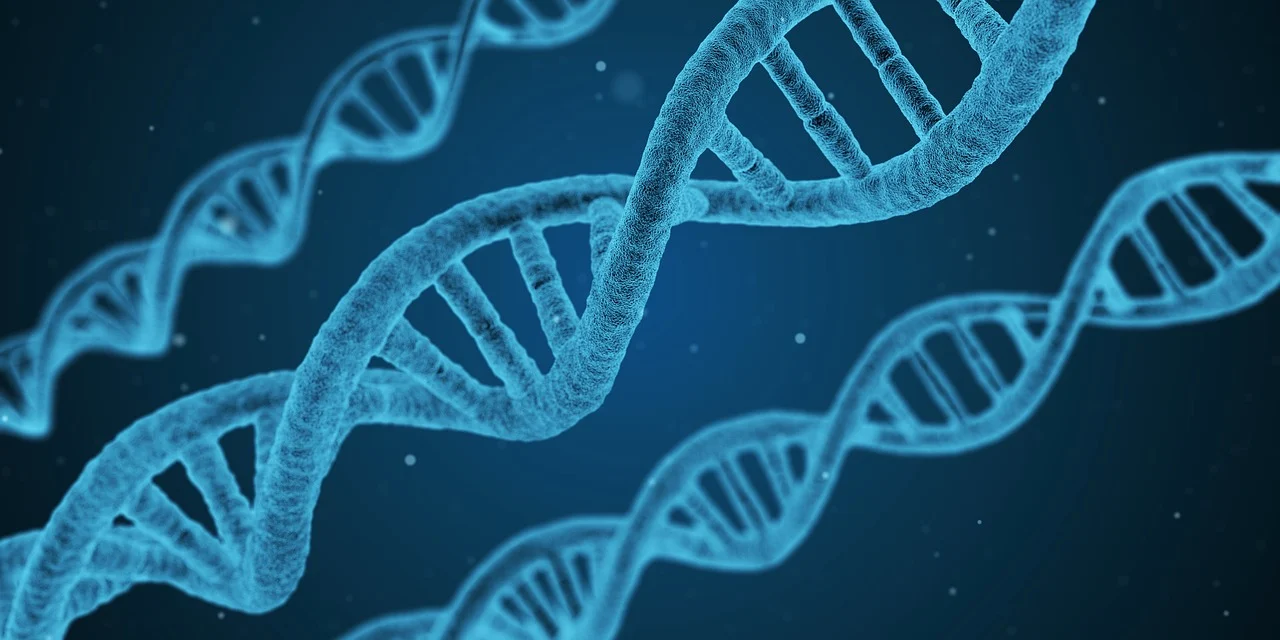 Pengertian Hingga Perbedaan DNA dan RNA – Gramedia Literasi