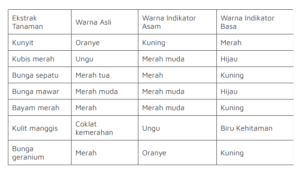Jenis-Jenis Indikator Asam Basa dan Contohnya – Gramedia Literasi
