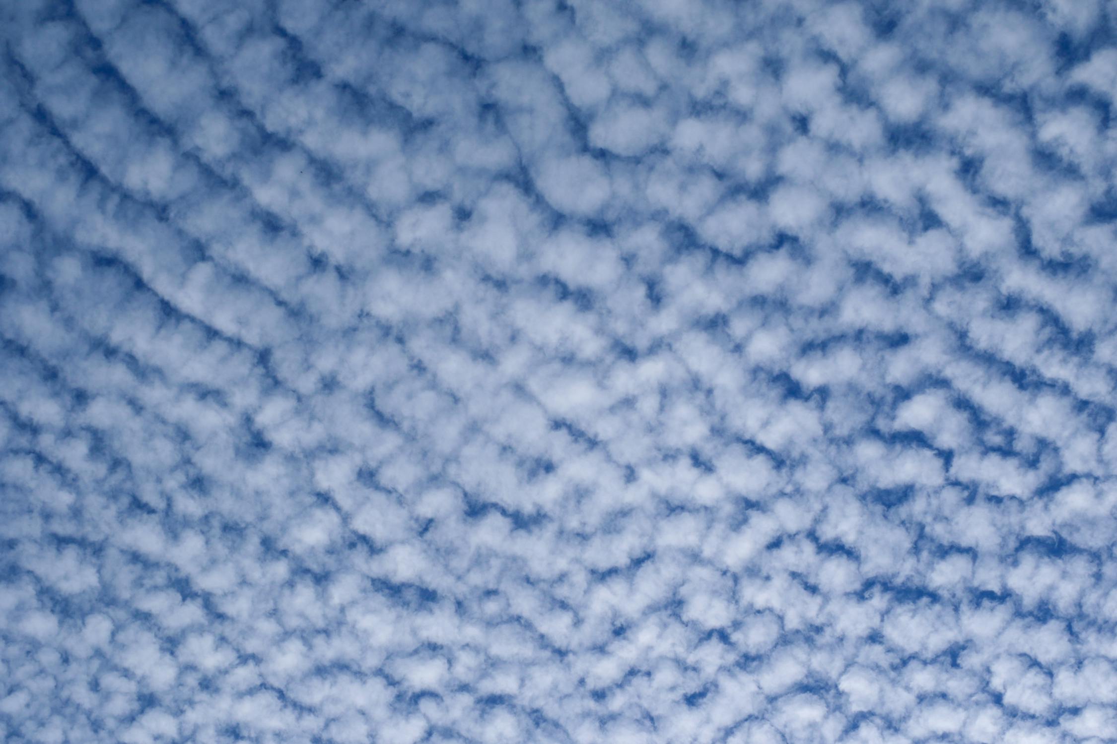 Awan Altocumulus: Definisi, Ciri-ciri, Proses Pembentukan dan Dampaknya ...